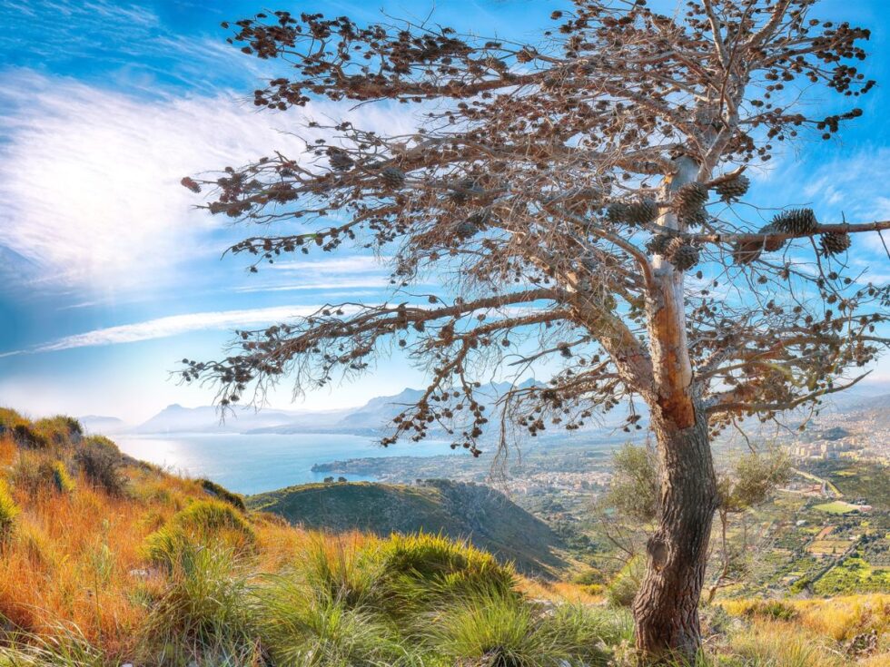 Pizzo Calabro, il gusto dolce e avvolgente della Calabria
